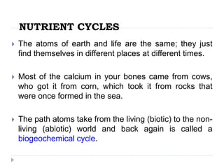 NutrientCycling.ppt | Science