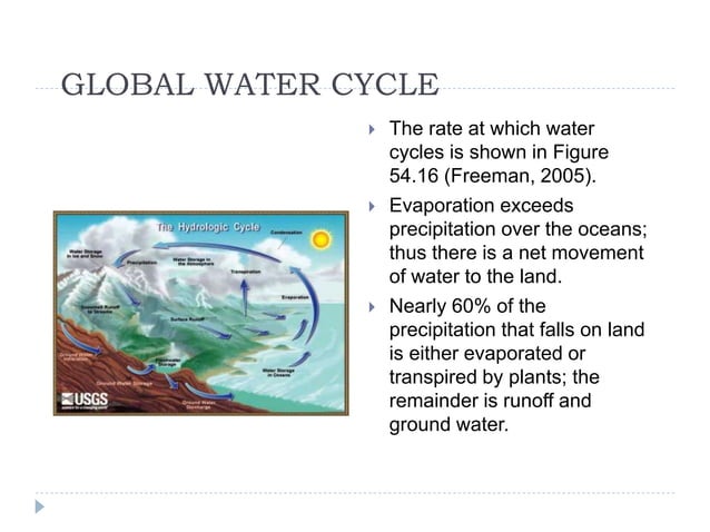 NutrientCycling.ppt | Science
