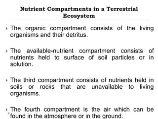 NutrientCycling.ppt | Science
