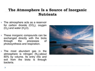 NutrientCycling.ppt | Science