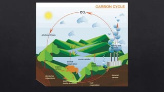Nutrient Cycling and retention.pptx