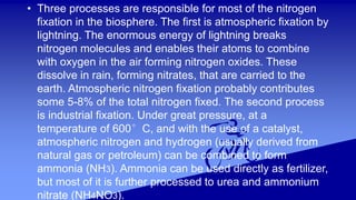 NUTRIENT CYCLING IN NATURE.pptx