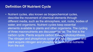 NUTRIENT CYCLING IN NATURE.pptx