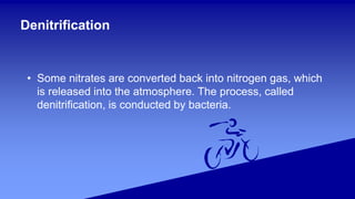 NUTRIENT CYCLING IN NATURE.pptx