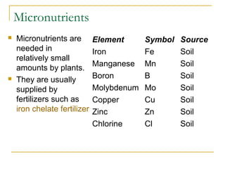 Nutrient deficiency in plants | PPT