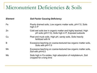 Nutrient deficiency in plants | PPT