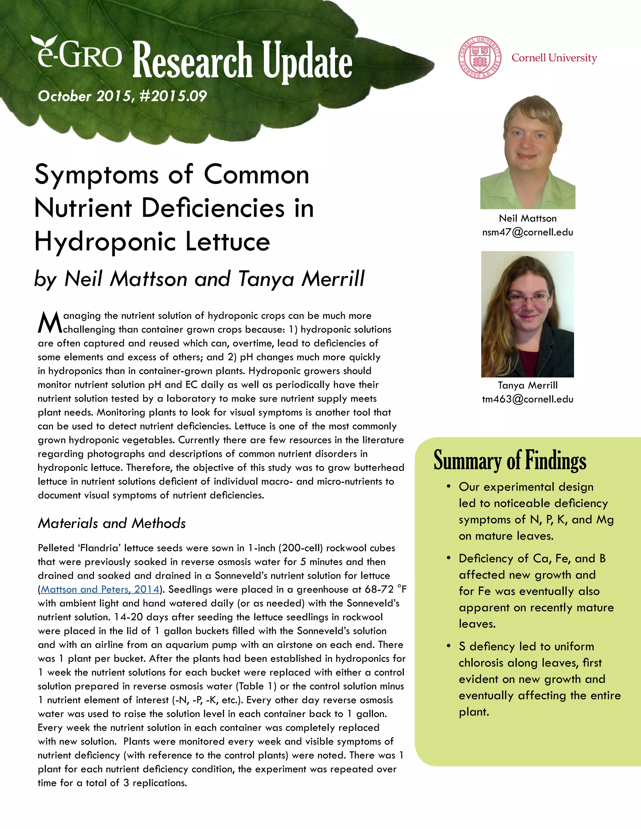 Nutrient deficiencies in lettuce | PDF