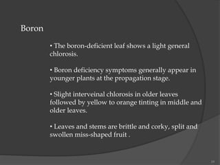 Nutrient deficiency | PPT
