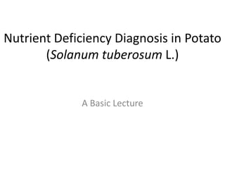 Nutrient deficiency diagnosis in Corn and Potato | PDF