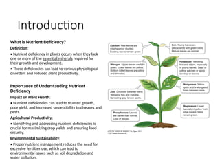 Nutrient deficiency and symptoms in plants | PPT