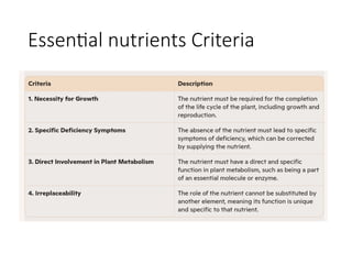 Nutrient deficiency and symptoms in plants | PPT