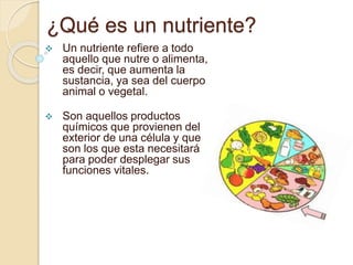 Nutrientes | PPTX