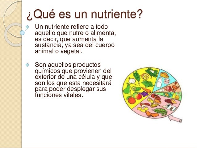 Nutrientes