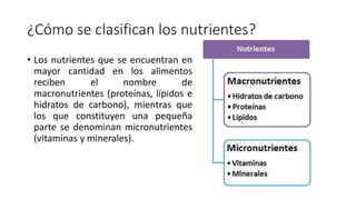 Nutrientes_esenciales_para_el_cuerpo_hum.pptx