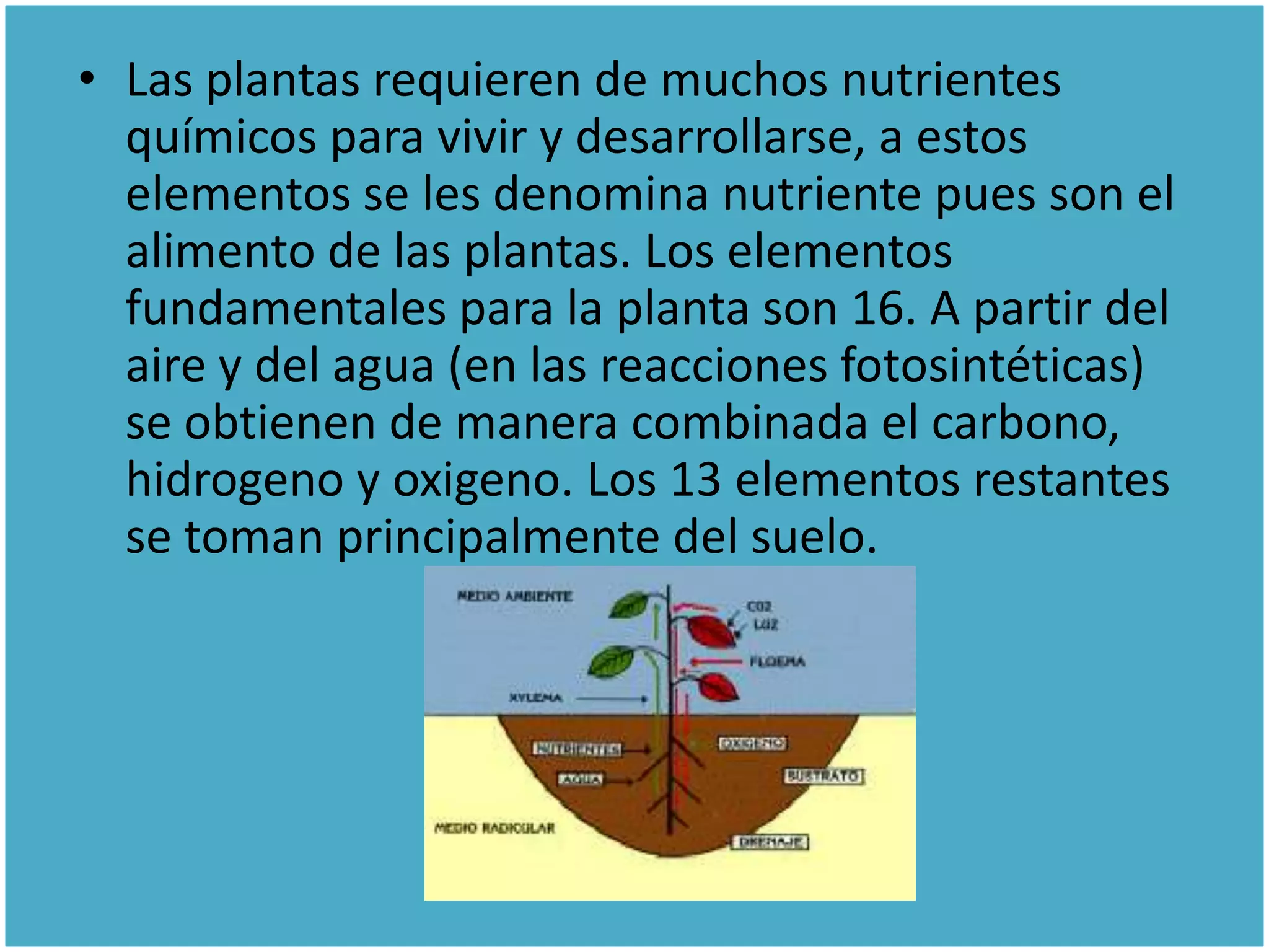 Nutrientes para las plantas | PPT