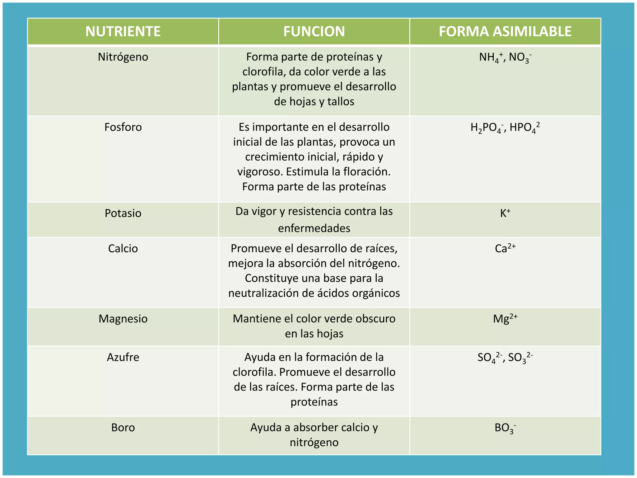 Nutrientes para las plantas | PPTX | Gardening | Home & Garden