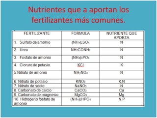 Nutrientes para las plantas | PPTX