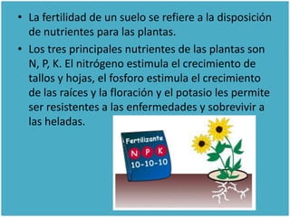 Nutrientes para las plantas | PPTX