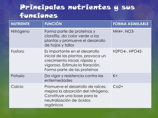 Nutrientes plantas | PPTX