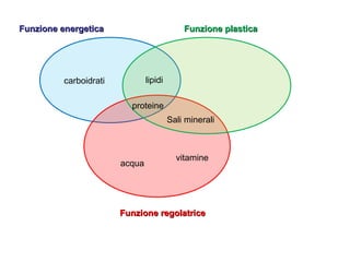 Nutrienti | PPT