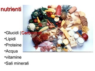 Nutrienti | PPT