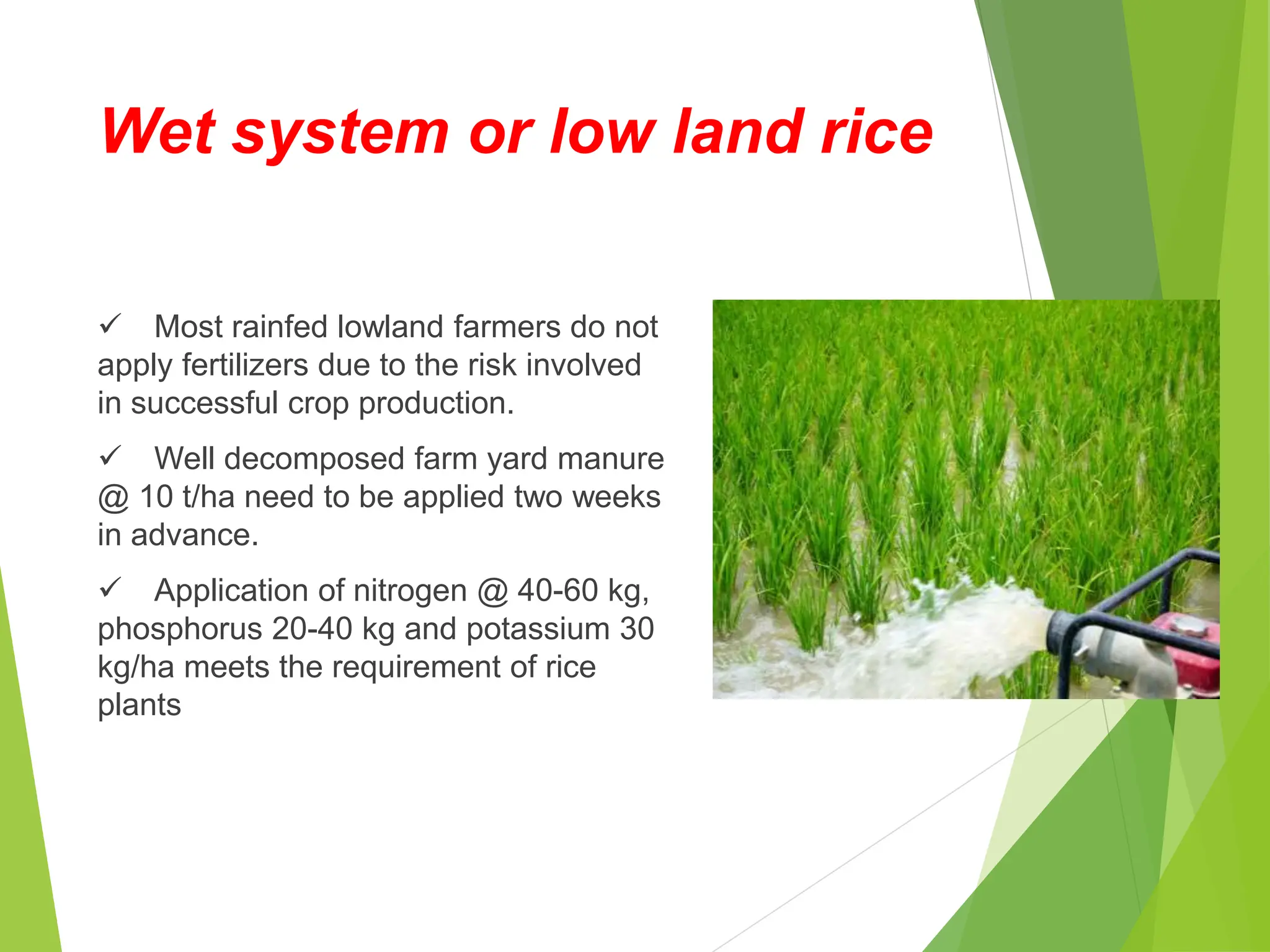 Nutrient management for paddy -WPS Office.pptx