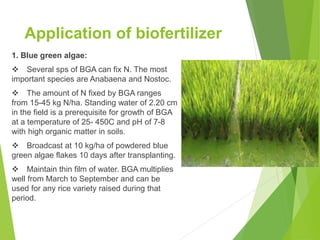 Nutrient management for paddy -WPS Office.pptx | Agriculture | Industries