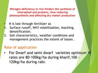 Nutrient management for paddy -WPS Office.pptx