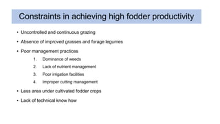 Nutrient management in kharif fodder crops.pptx