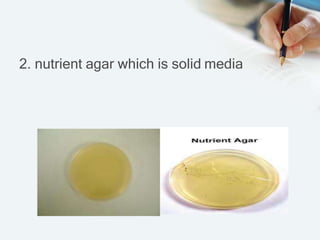 NUTRIENT MEDIA & REQUIREMENTS | PPTX