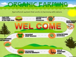 NUTRIENT MANAGEMENT PRACTICES IN ORGANIC FARMING | PPTX