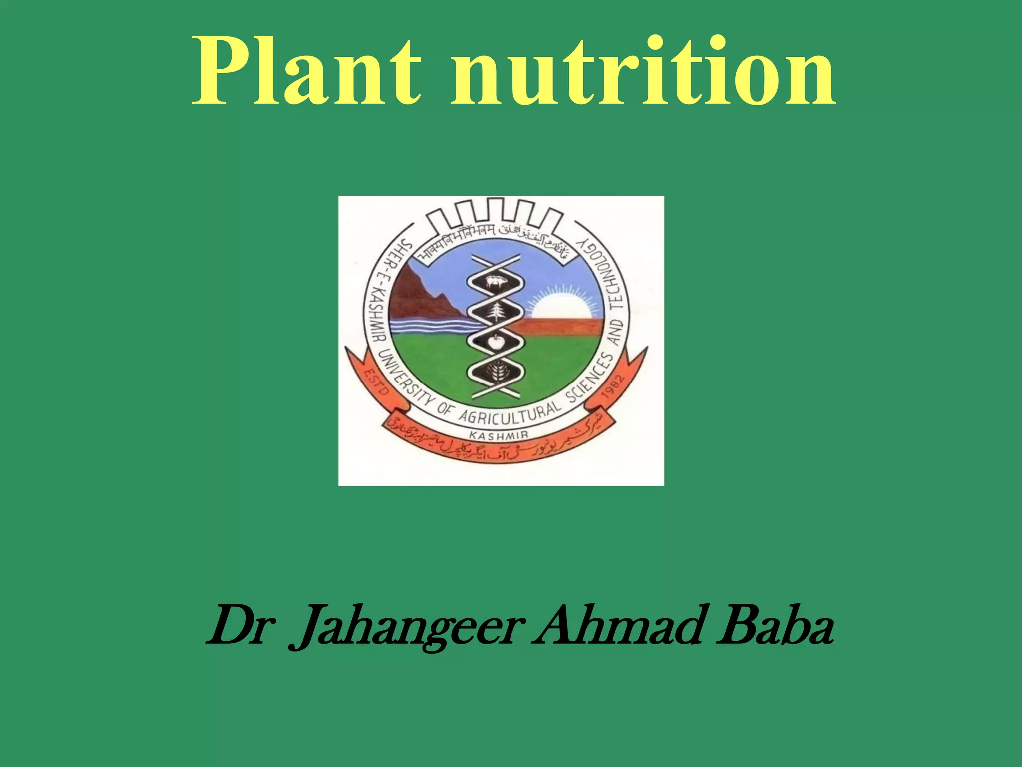 Plant Nutrition | PPT