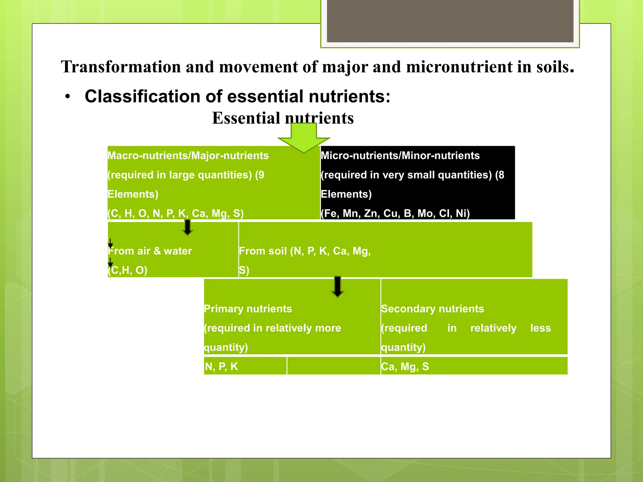 Nutrient Movement in Soils- Nutrient Absorption By Plants Mechanistic ...