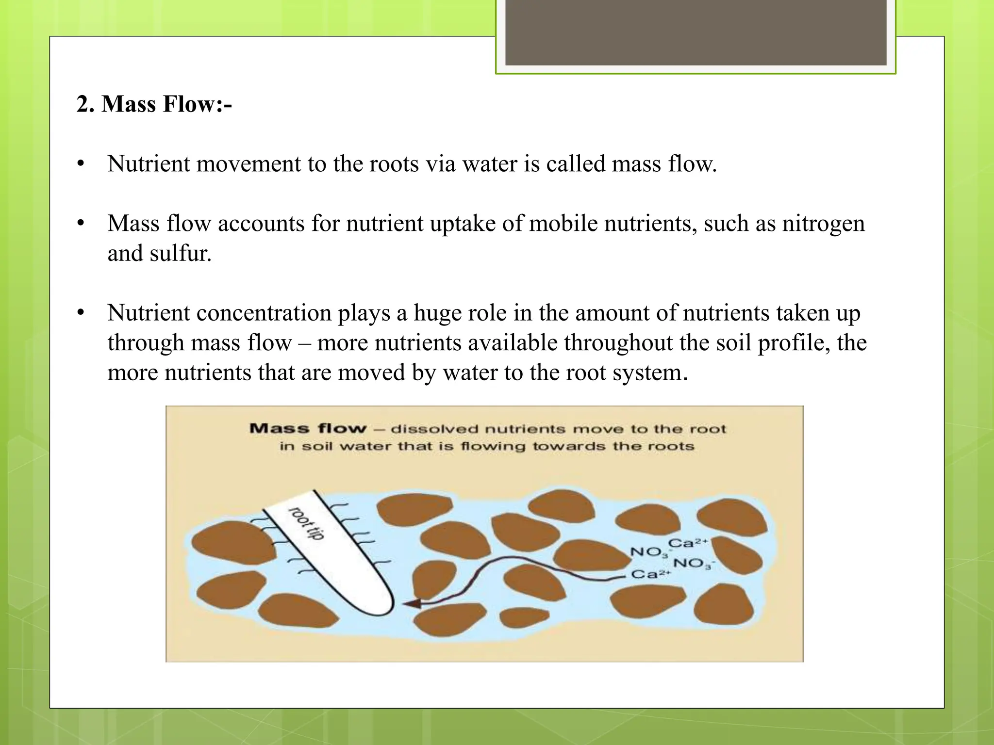 Nutrient Movement in Soils- Nutrient Absorption By Plants Mechanistic ...