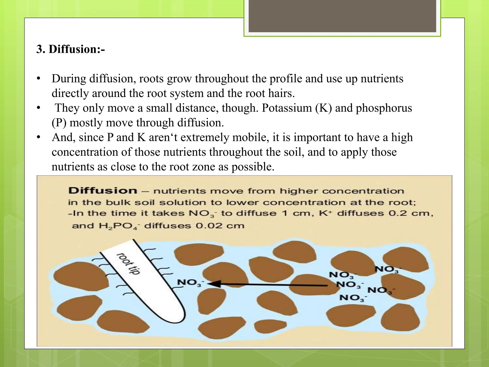 Nutrient Movement in Soils- Nutrient Absorption By Plants Mechanistic ...