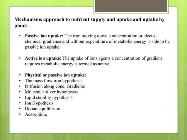 Nutrient Movement in Soils- Nutrient Absorption By Plants Mechanistic ...