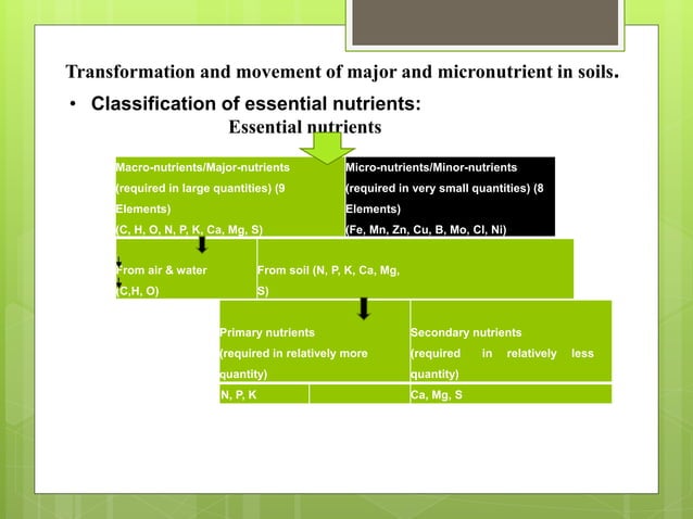 Nutrient Movement in Soils- Nutrient Absorption By Plants Mechanistic ...