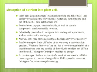Nutrient Movement in Soils- Nutrient Absorption By Plants Mechanistic ...