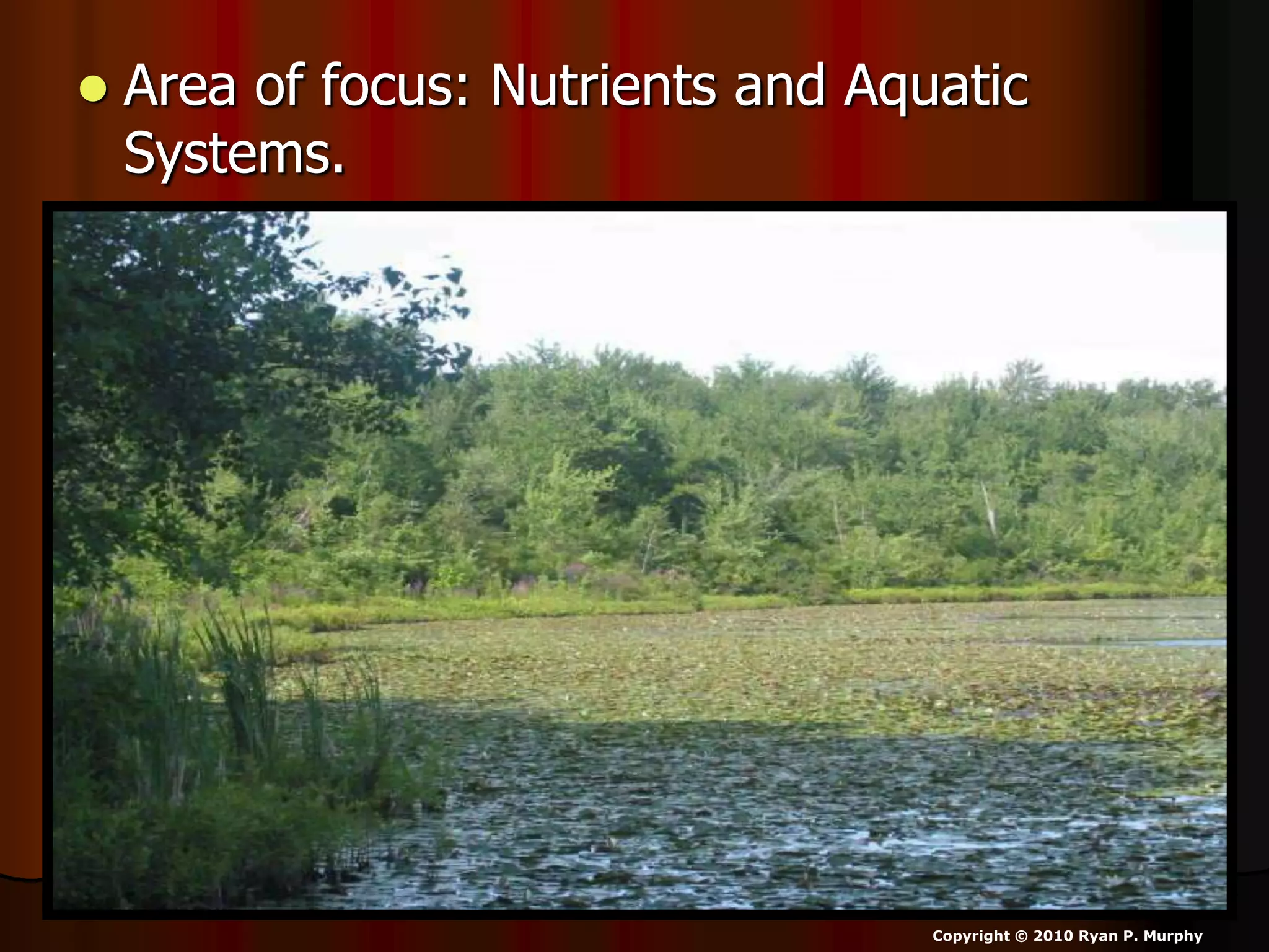 Nutrient Pollution Lesson PowerPoint, Nitrogen, Phosphorus ...