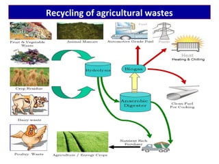 Nutrient recycling through agricultural and industrial wastes:potential ...
