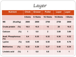 Nutrient requirements of various poultry | PPTX