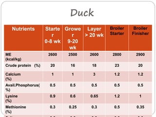 Nutrient requirements of various poultry | PPTX
