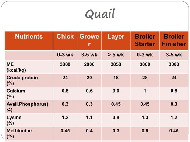 Nutrient requirements of various poultry | PPTX | Chemistry | Science