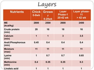 Nutrient requirements of various poultry | PPTX