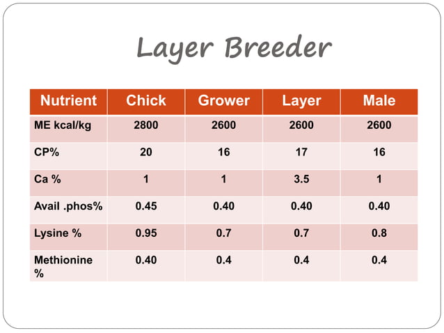 Nutrient requirements of various poultry | PPTX | Chemistry | Science