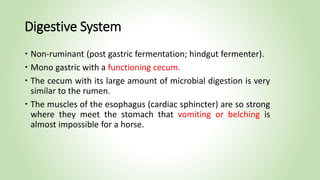 Nutrient requirment of racing horses | PPTX
