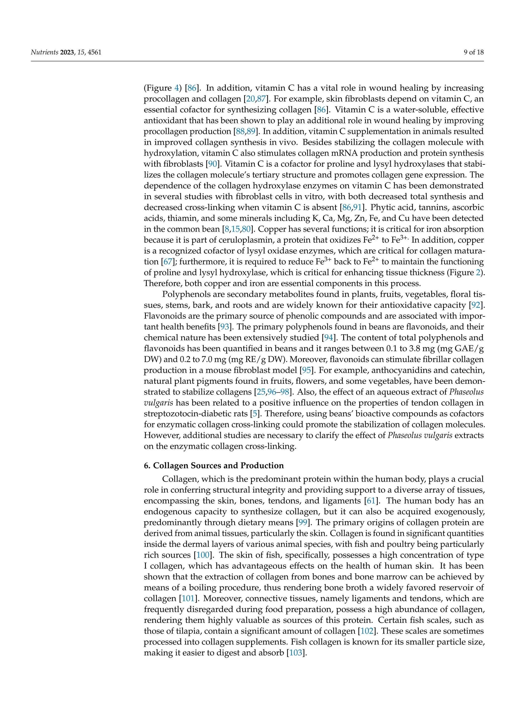 Common Beans as a Source of Amino Acids and Cofactors for Collagen ...