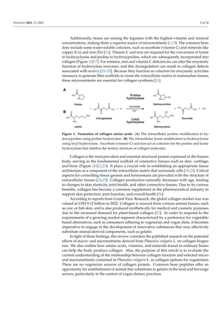 Common Beans as a Source of Amino Acids and Cofactors for Collagen ...