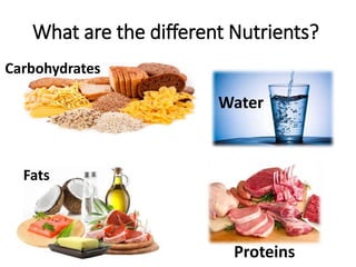 Nutrients | PPTX