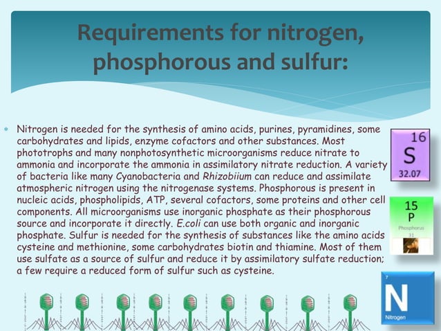Nutrient requirements in Microorganisms | PPT